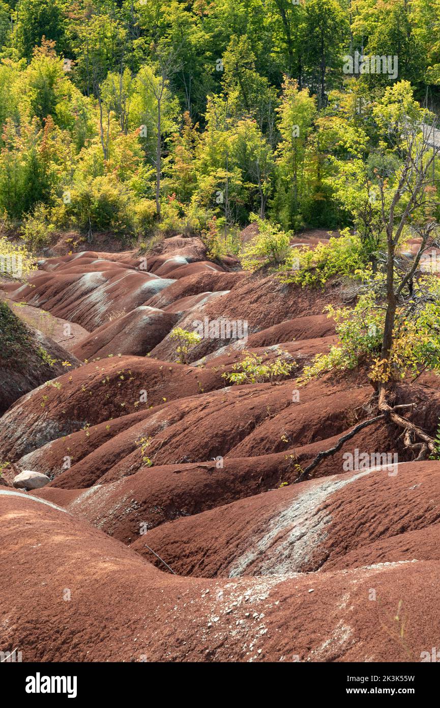 Cheltenham Badlands Caledon Ontario Canada Stock Photo - Alamy