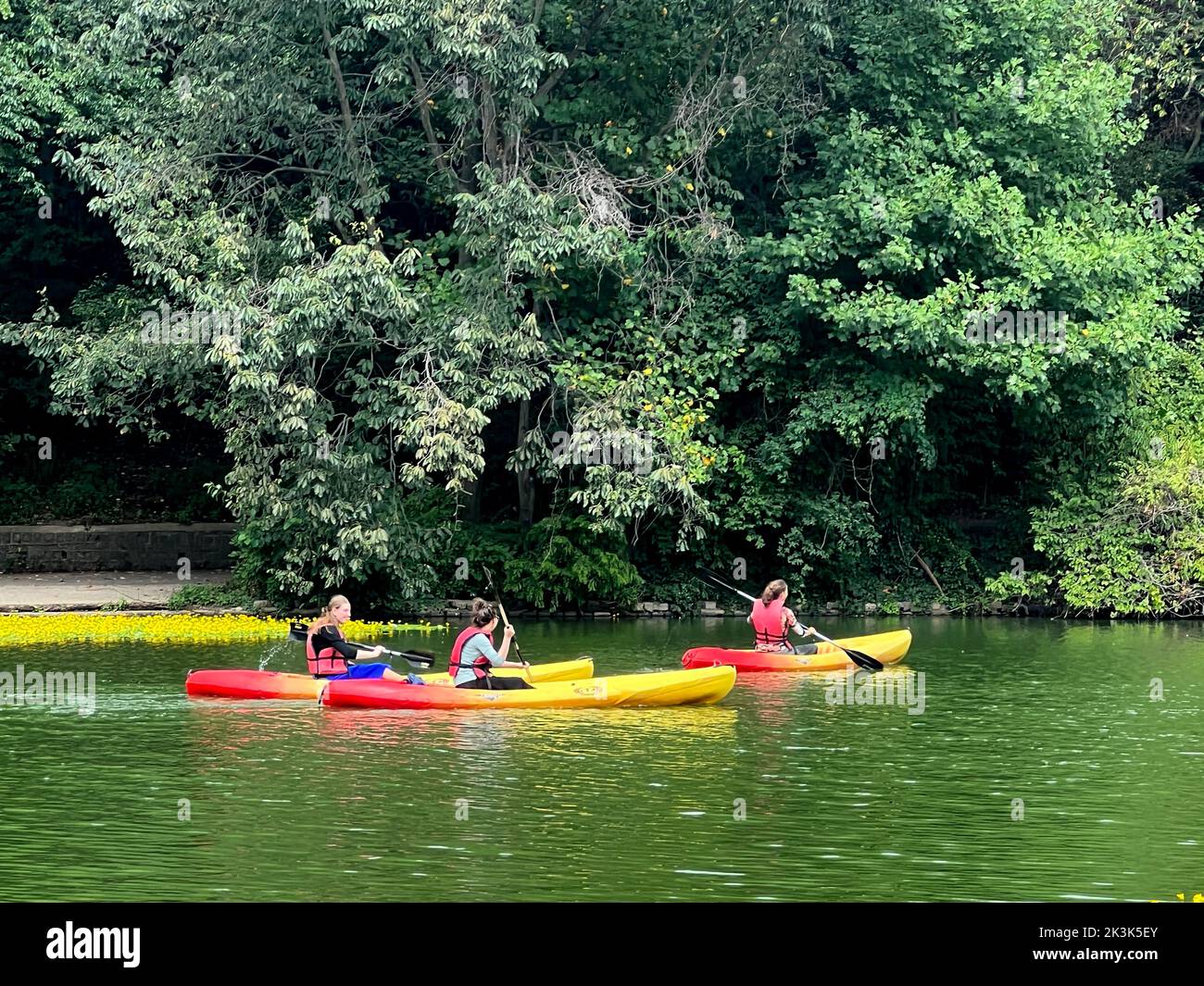 3 women kayak on the lake in Prospect Park on a hot summer day in ...