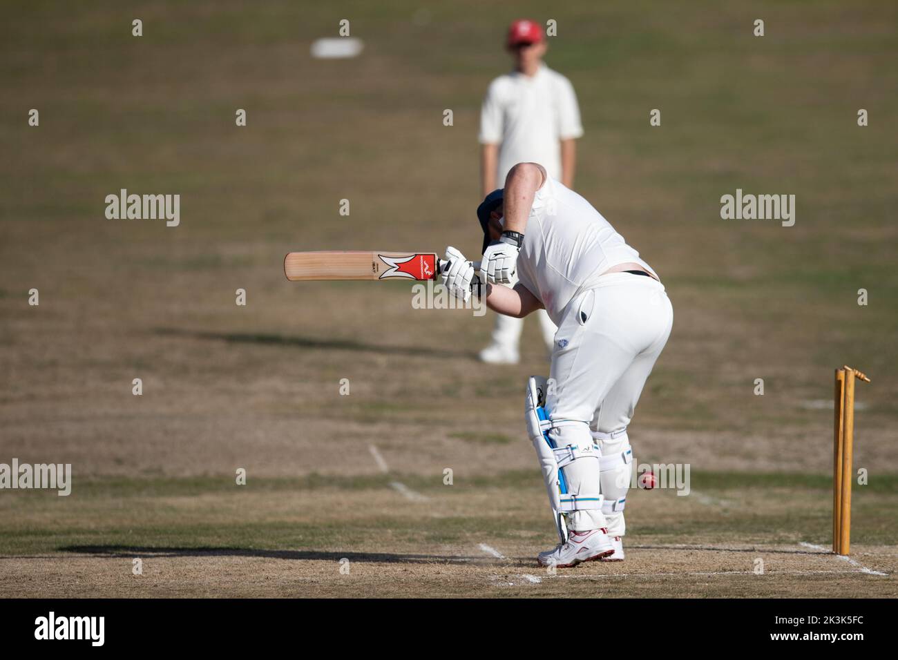 Cricket bowling & batting mens game Stock Photo - Alamy