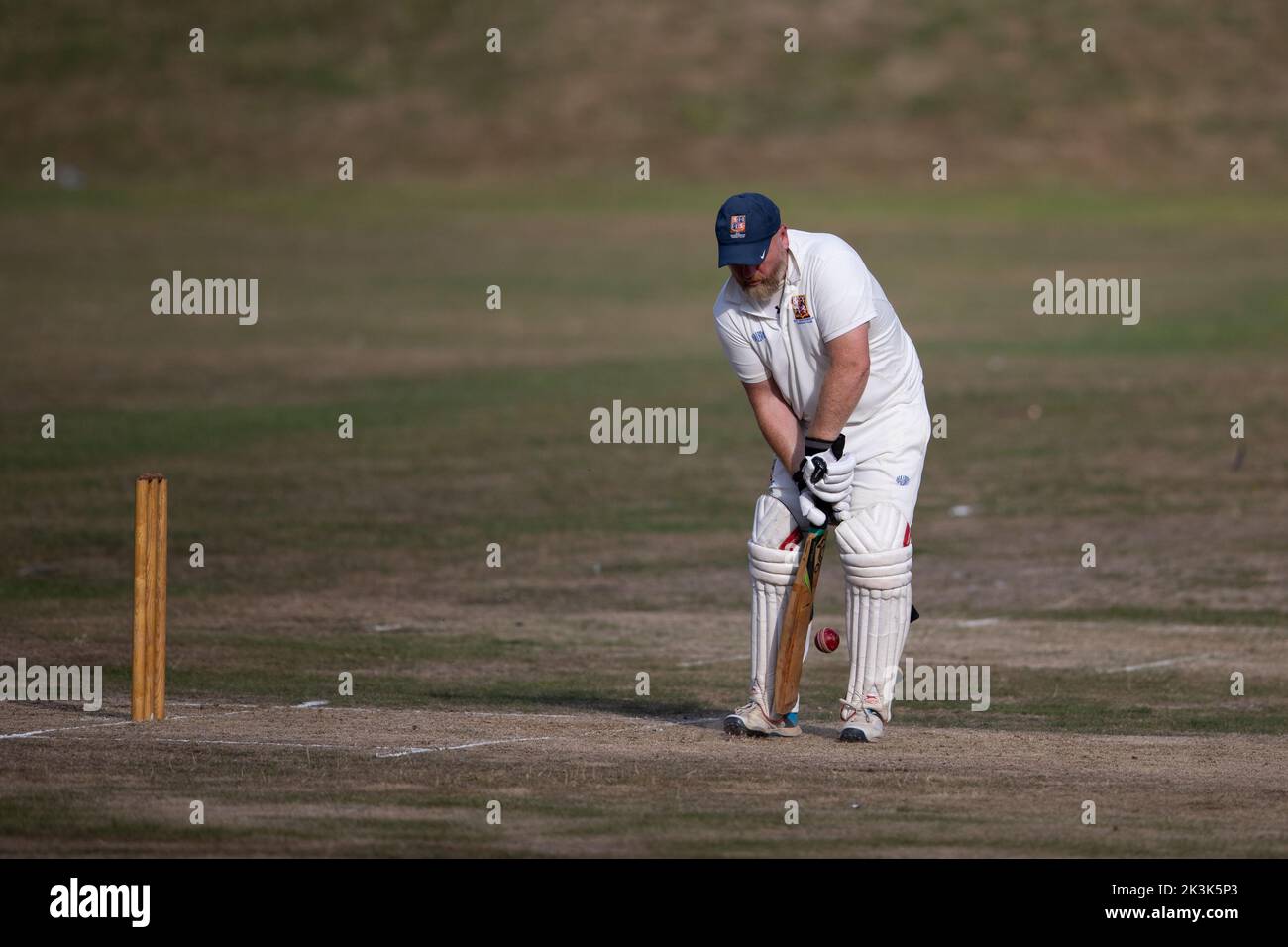 Cricket bowling & batting mens game Stock Photo - Alamy