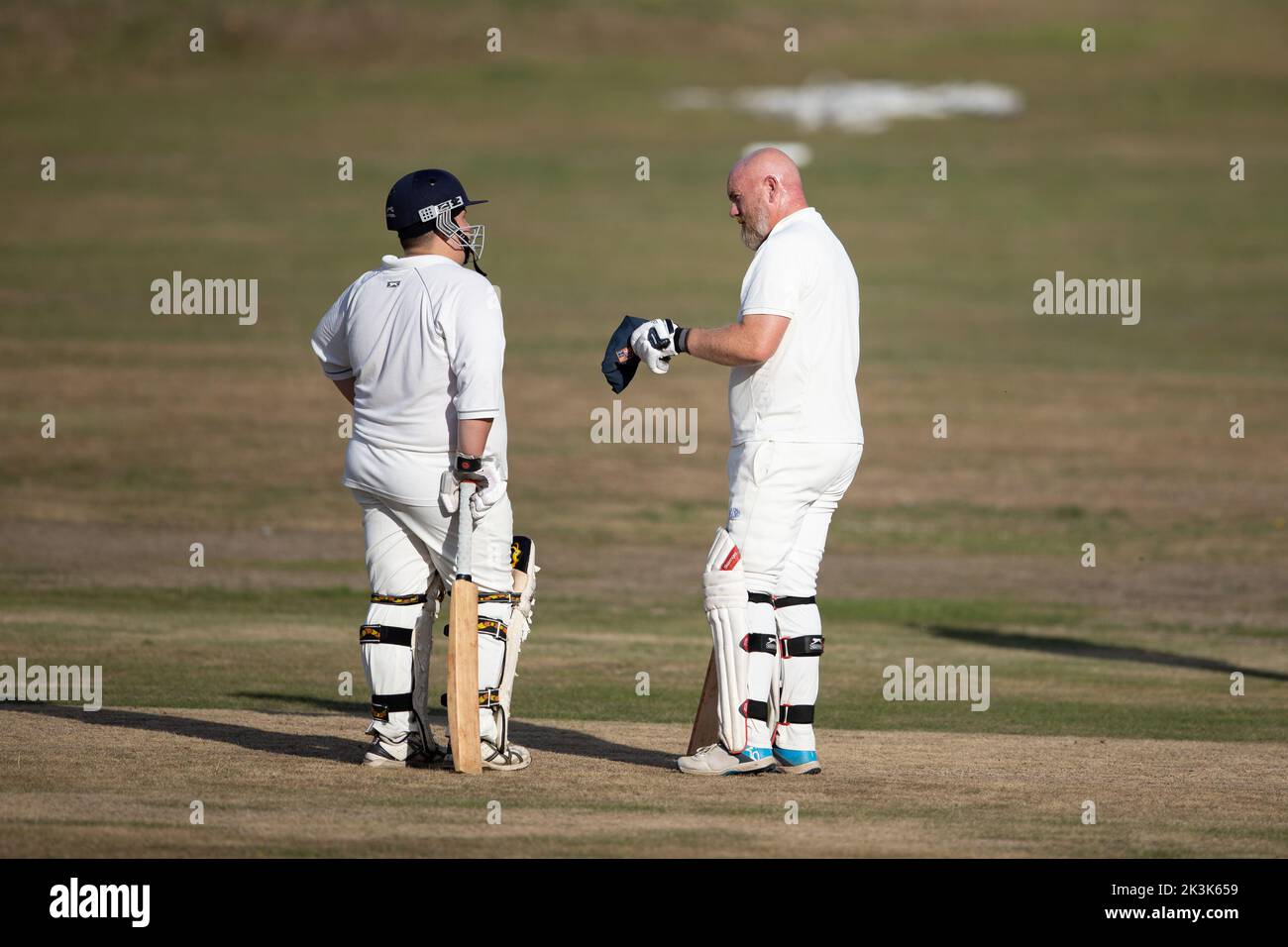 Cricket bowling & batting mens game Stock Photo - Alamy