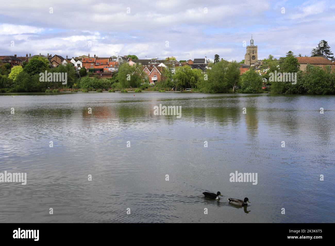 View of the Mere in the market town of Diss, Norfolk, England, Britain ...