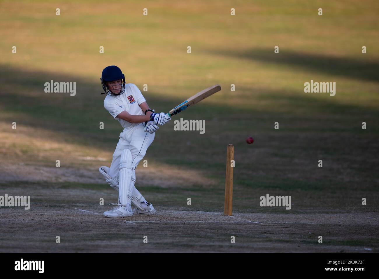 Cricket bowling & batting mens game Stock Photo - Alamy