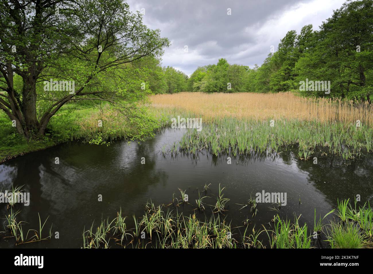 Lake at lynford arboretum hi-res stock photography and images - Alamy