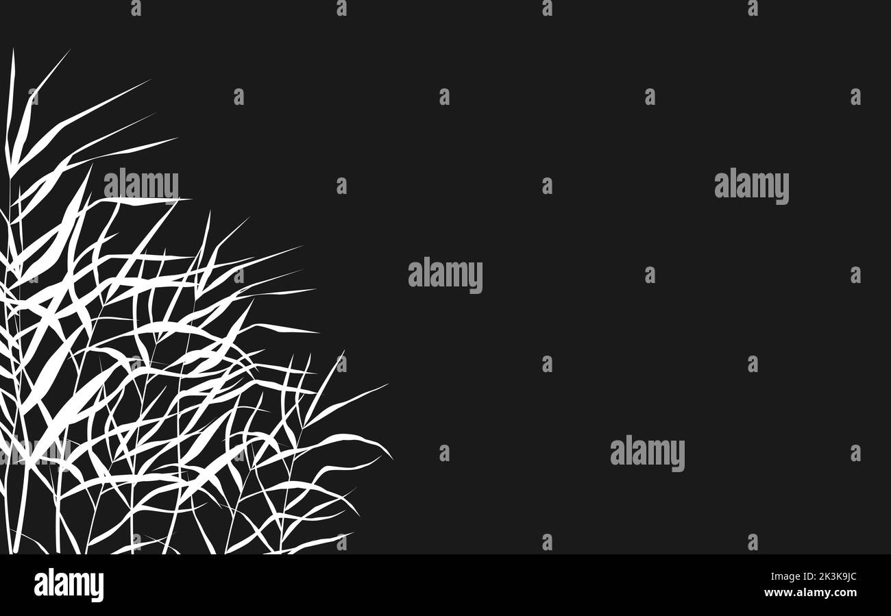 Bull rushes Stock Vector Images - Alamy