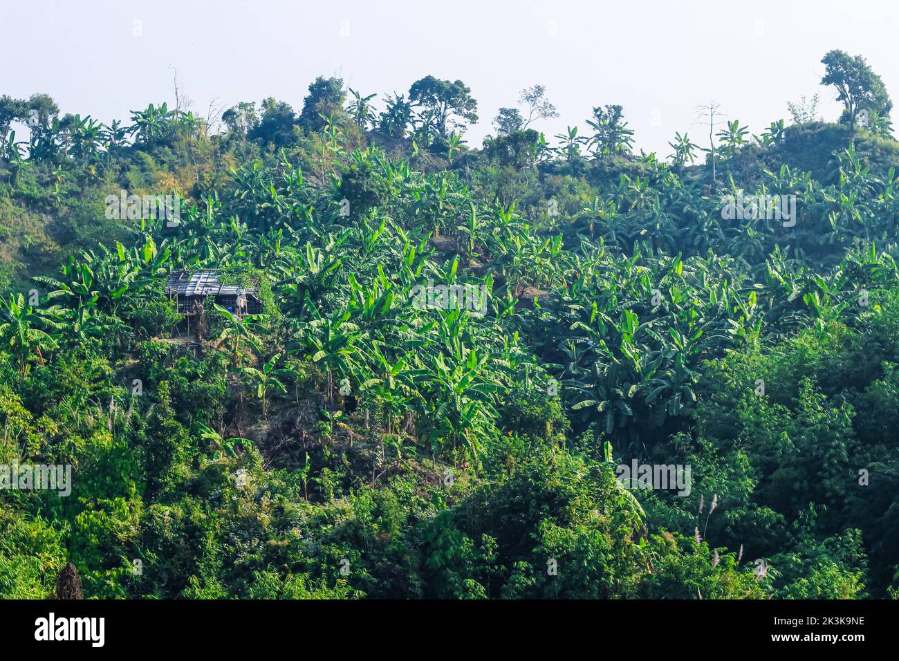 Shifting Cultivation Field over Bangladeshi hill tracts near Cox's ...