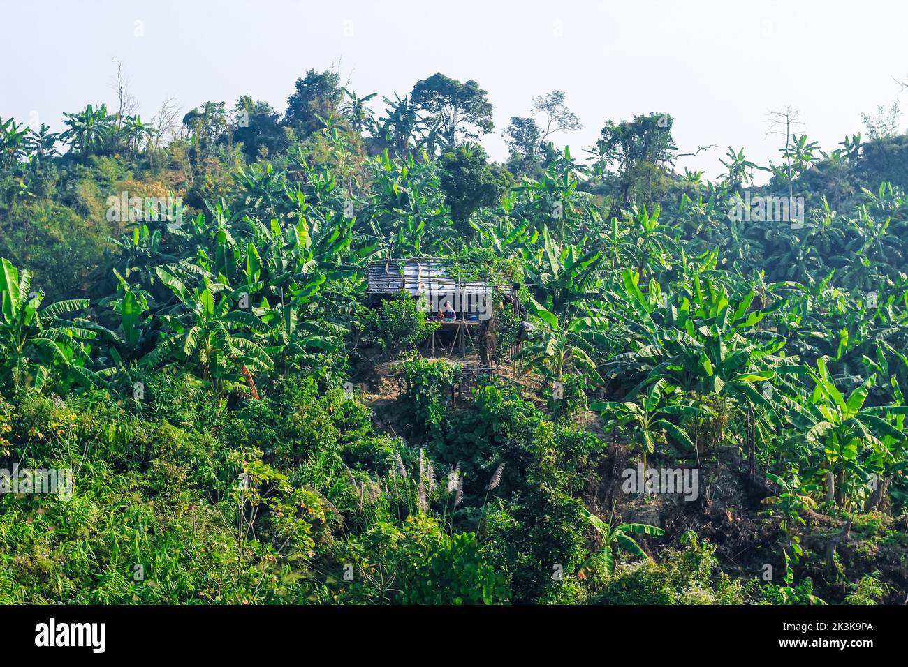 Shifting Cultivation Field over Bangladeshi hill tracts near Cox's ...