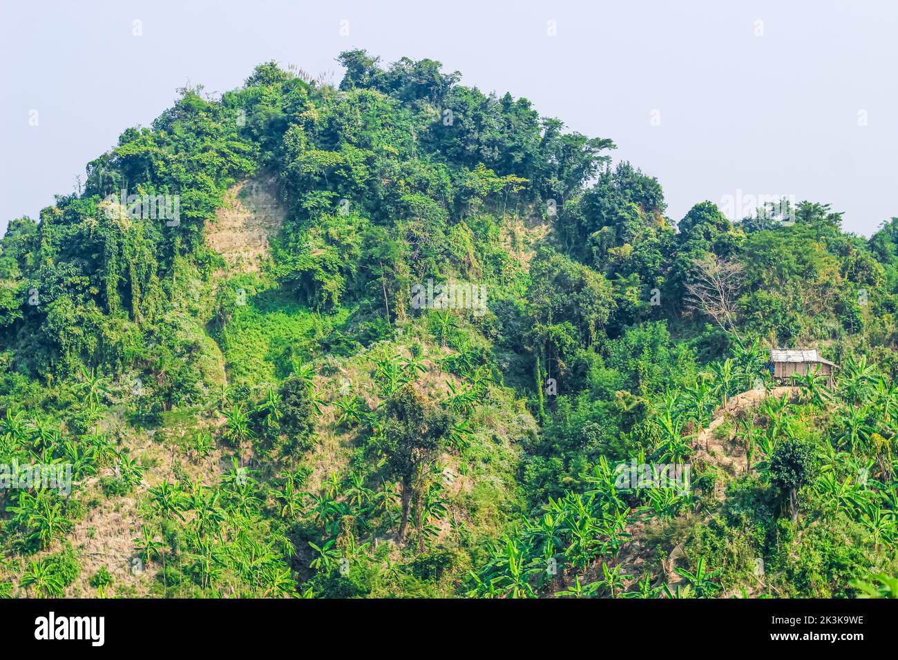 Mountain meadow in the morning light. Countryside springtime landscape ...