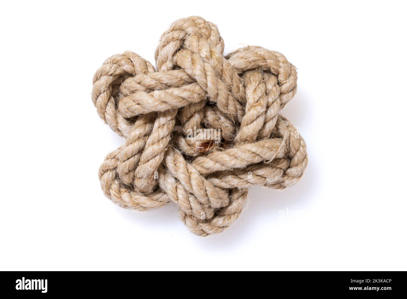 Pina de rosa where hi-res stock photography and images - Alamy