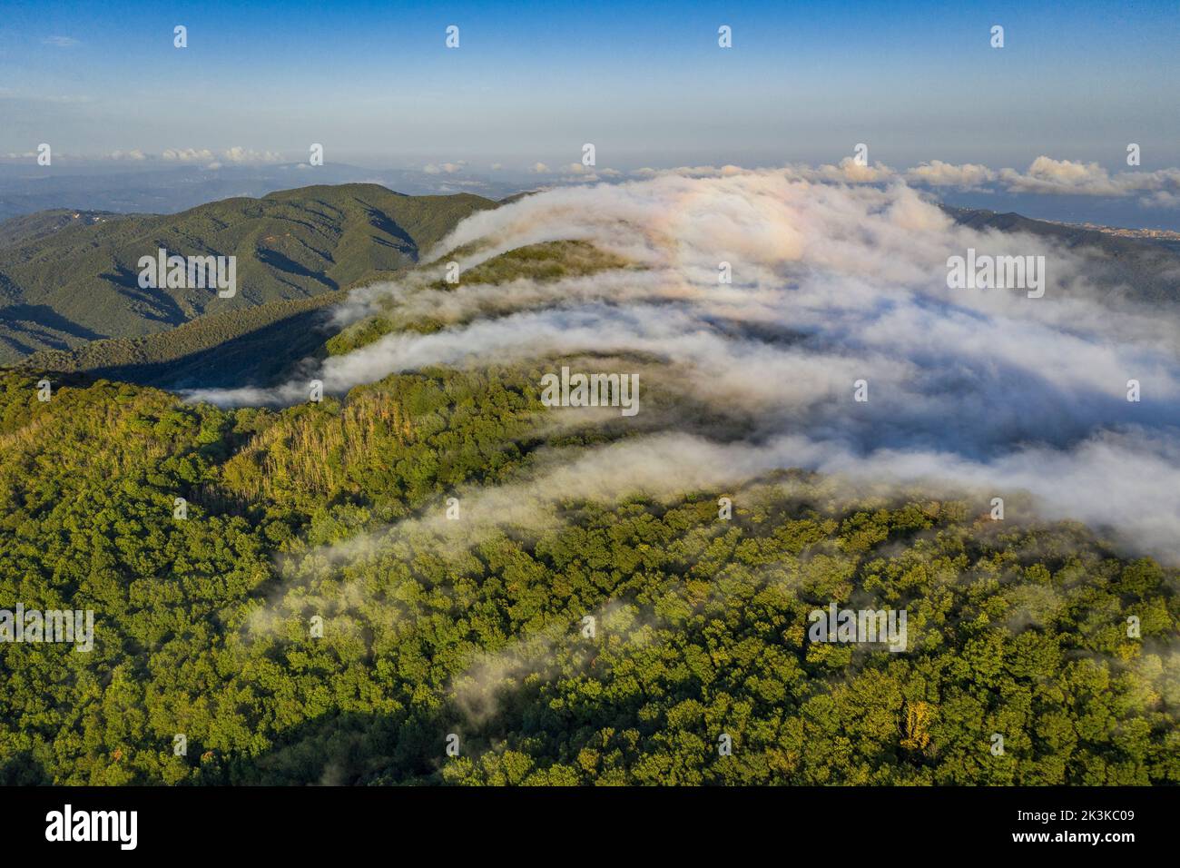 Fog caused by the maritime wind sliding over the Montnegre mountain at ...