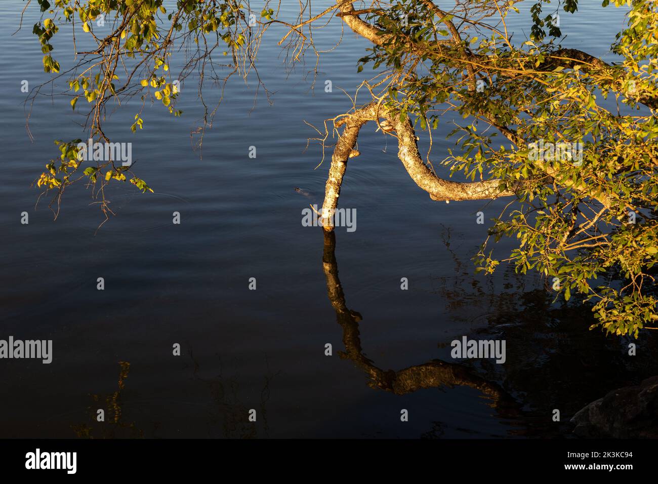 Hangs crooked hi-res stock photography and images - Alamy