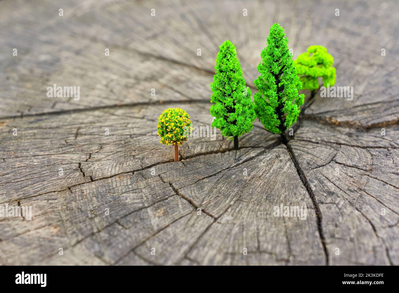 Miniature toy forest placed on a large tree stump, close-up ...