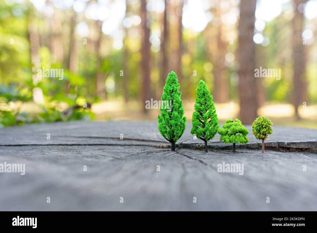 Toy trees grow on a real tree stump in the woods, selective focus Stock ...