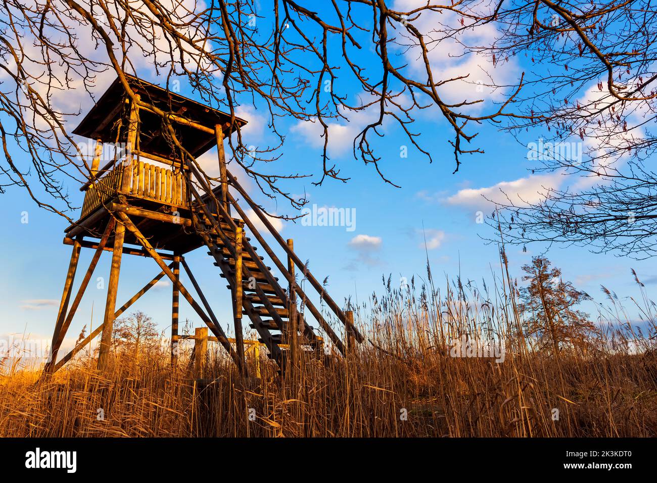 German perch (high seat) to observe the wildlife surrounded by trees ...