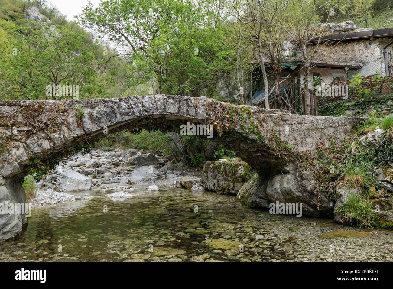 The view of an old medieval bridge over the river in the woods Stock ...