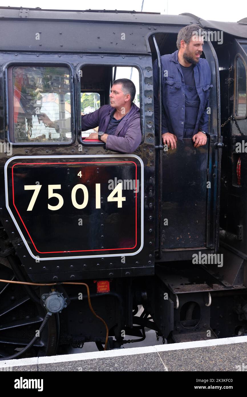 75014 Steam Train pulling into Kingswear Station Stock Photo - Alamy