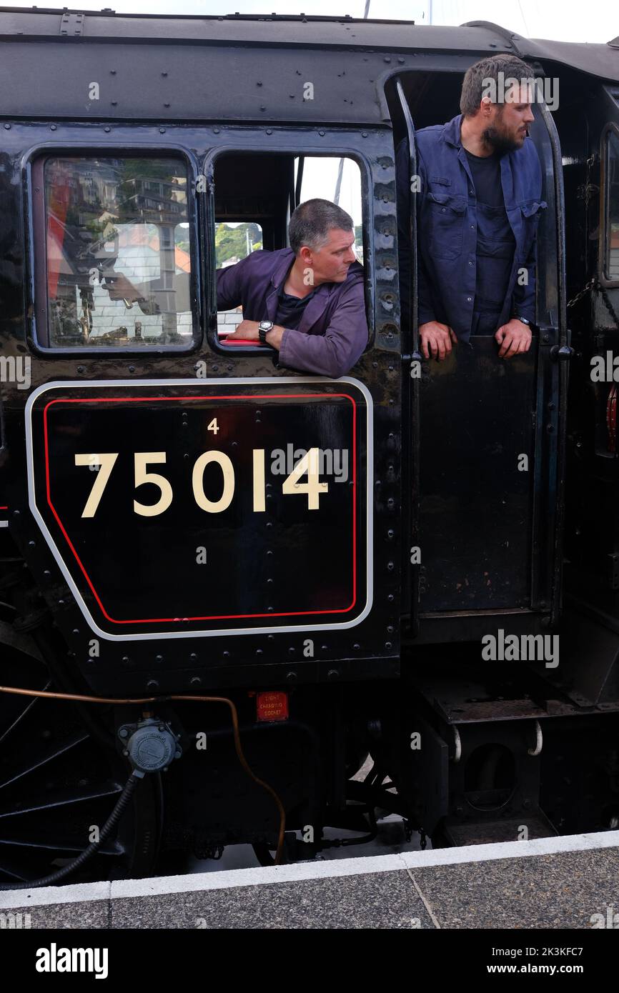 75014 Steam Train pulling into Kingswear Station Stock Photo - Alamy
