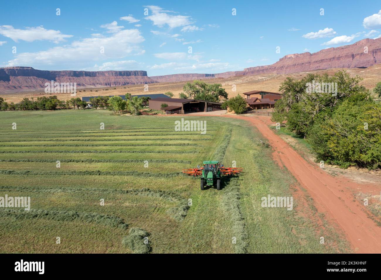 Aerial view of a hay raker consolidating windrows in an alfalfa field ...