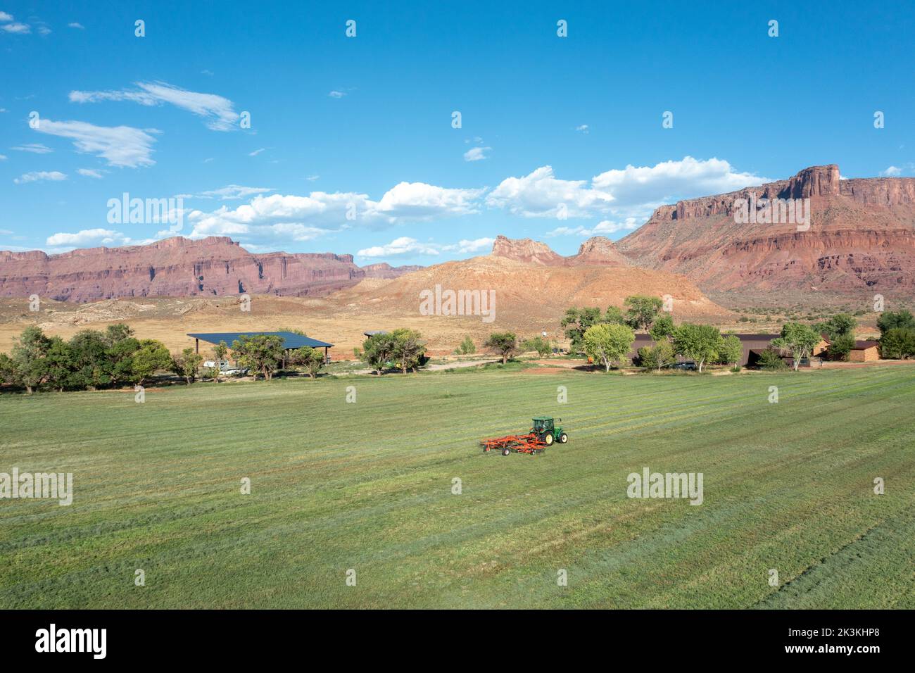 Aerial view of a hay raker consolidating windrows in an alfalfa field ...