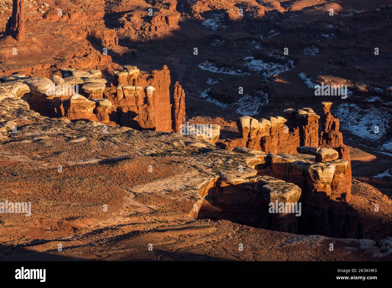 Organ Rock shale rock formations with White Rim sandstone caps in ...