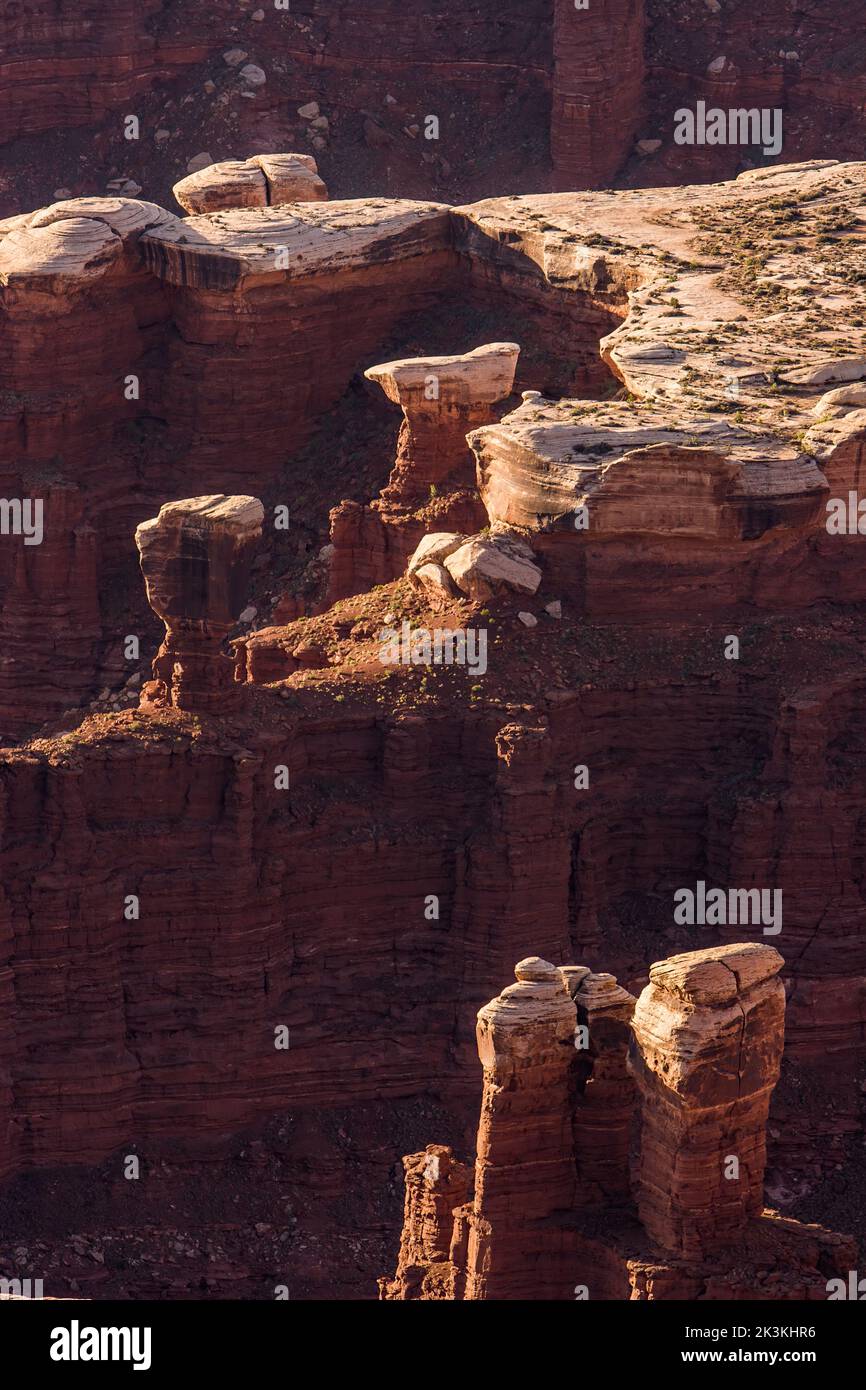 Organ Rock shale rock formations with White Rim sandstone caps in ...
