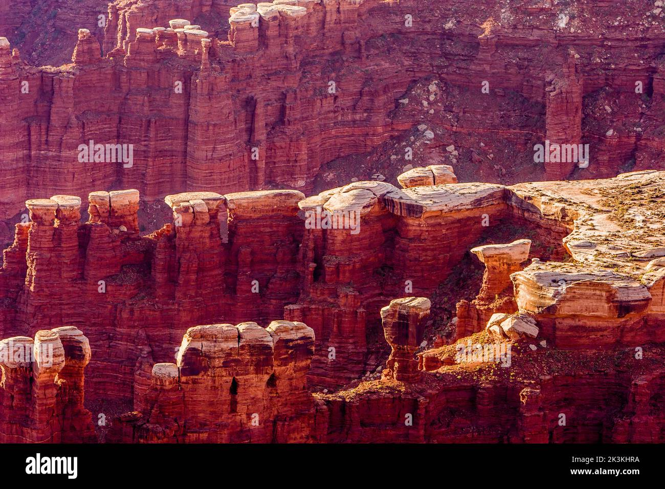 Organ Rock shale rock formations with White Rim sandstone caps in ...