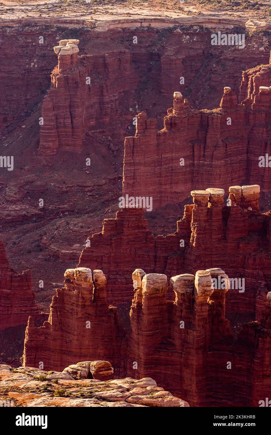 Organ Rock shale rock formations with White Rim sandstone caps in ...