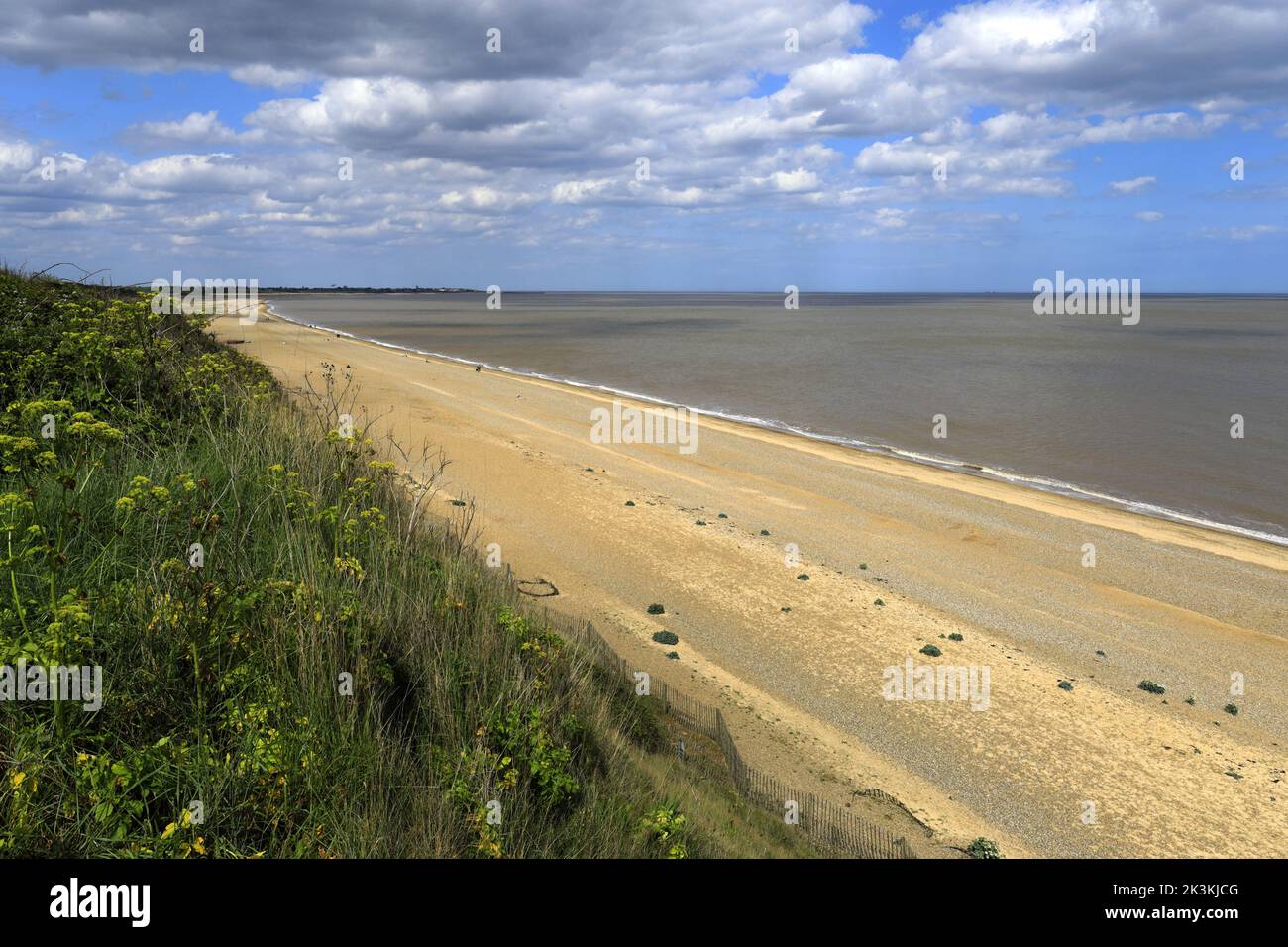 View over the Dingle Great Hill Nature reserve, Dunwich village ...
