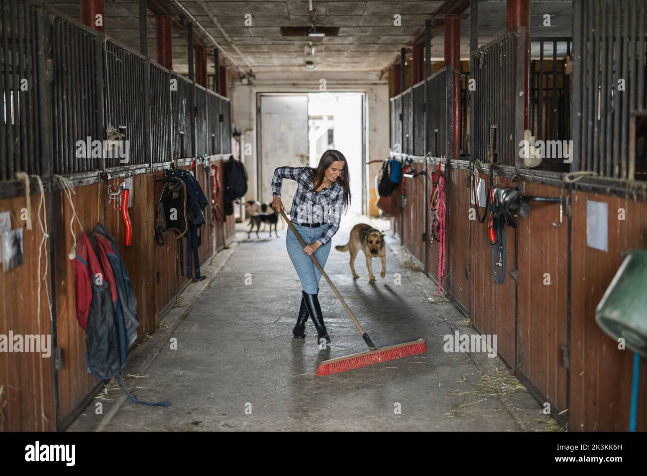 Woman sweeping in barn hi-res stock photography and images - Alamy