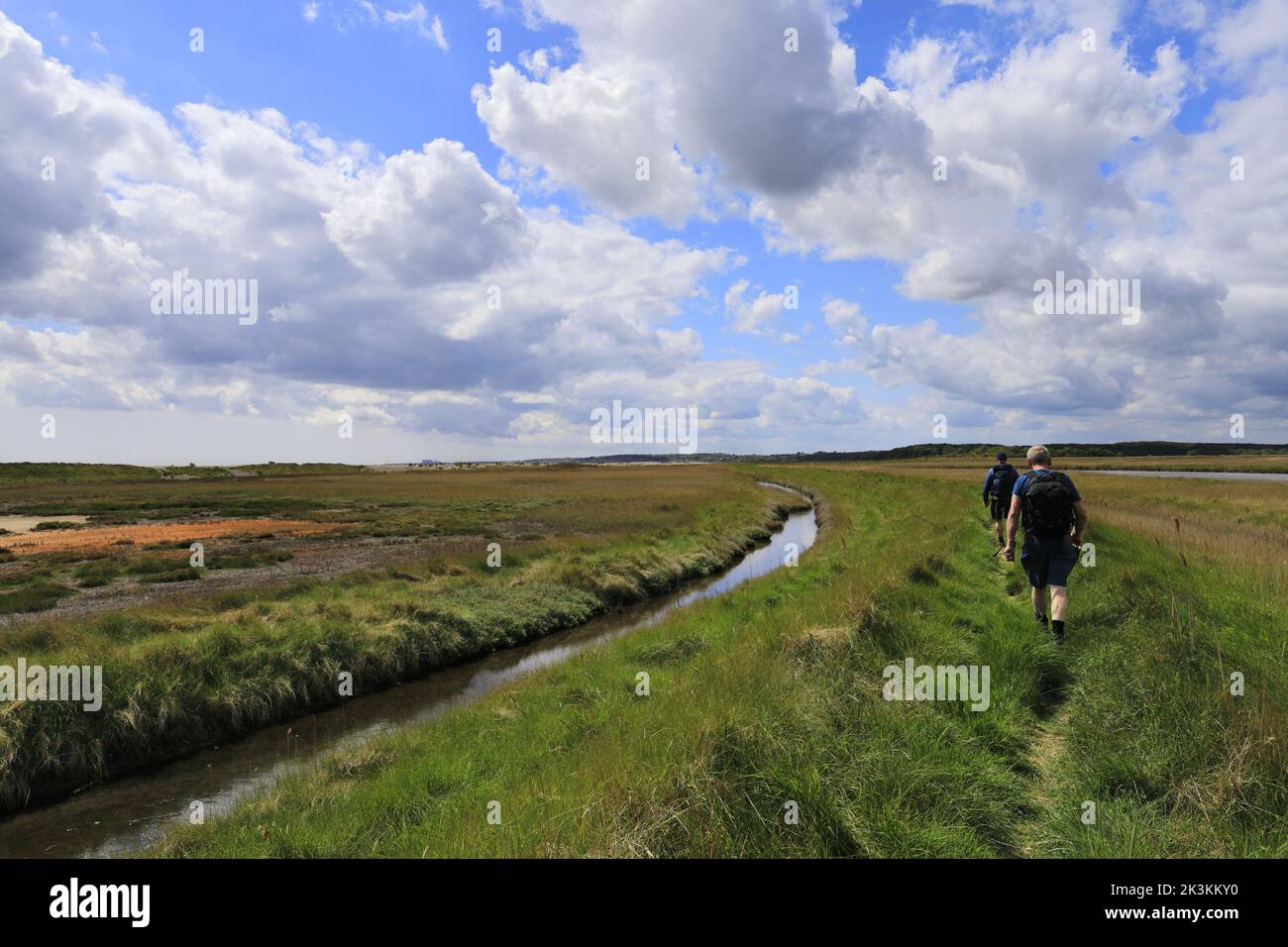 View over the Walberswick National Nature reserve, Walberswick village ...