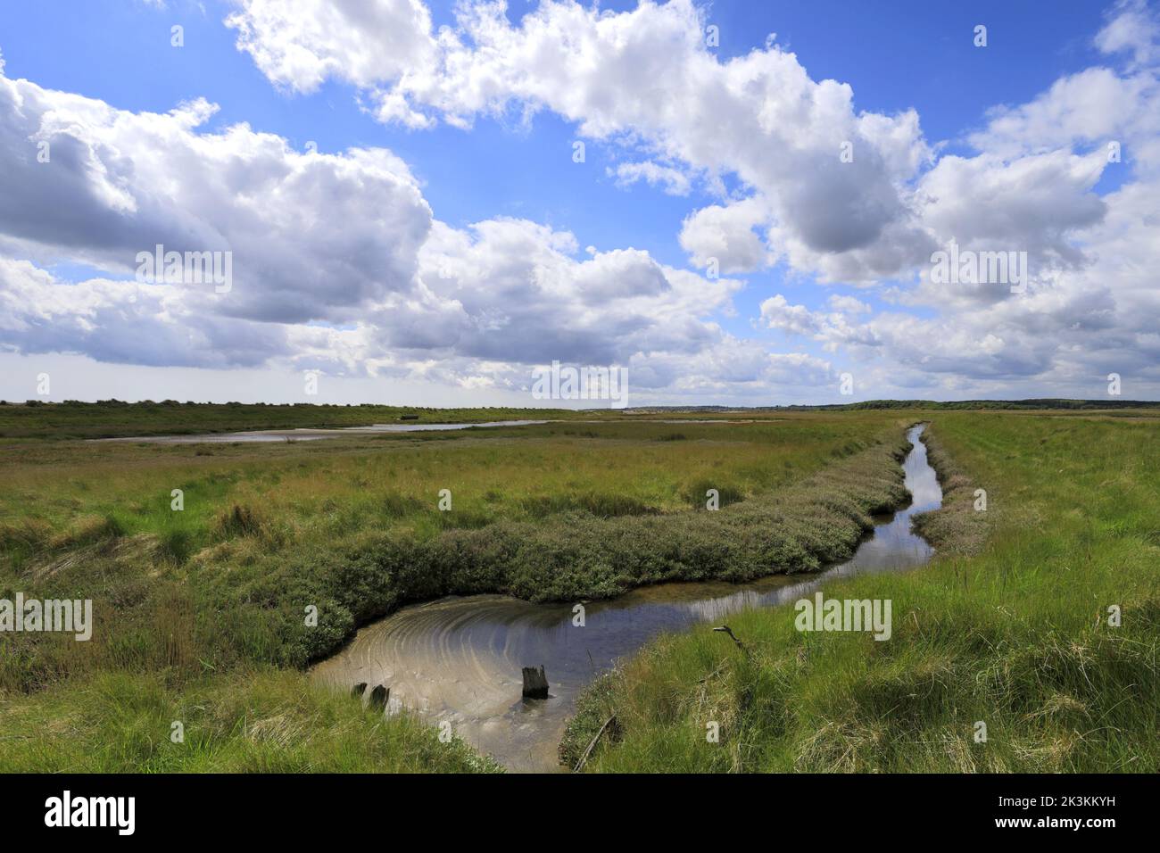 View over the Walberswick National Nature reserve, Walberswick village ...