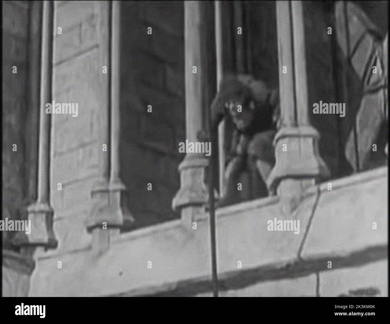 Hunchback of Notre Dame vintage still from 1923 movie Stock Photo - Alamy