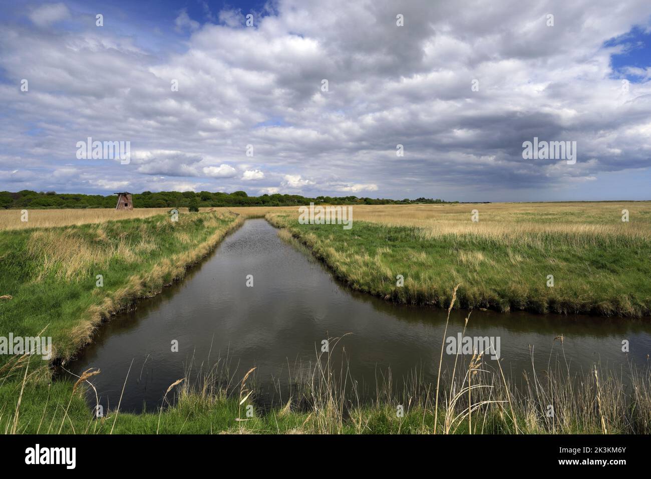 View over the Walberswick National Nature reserve, Walberswick village ...