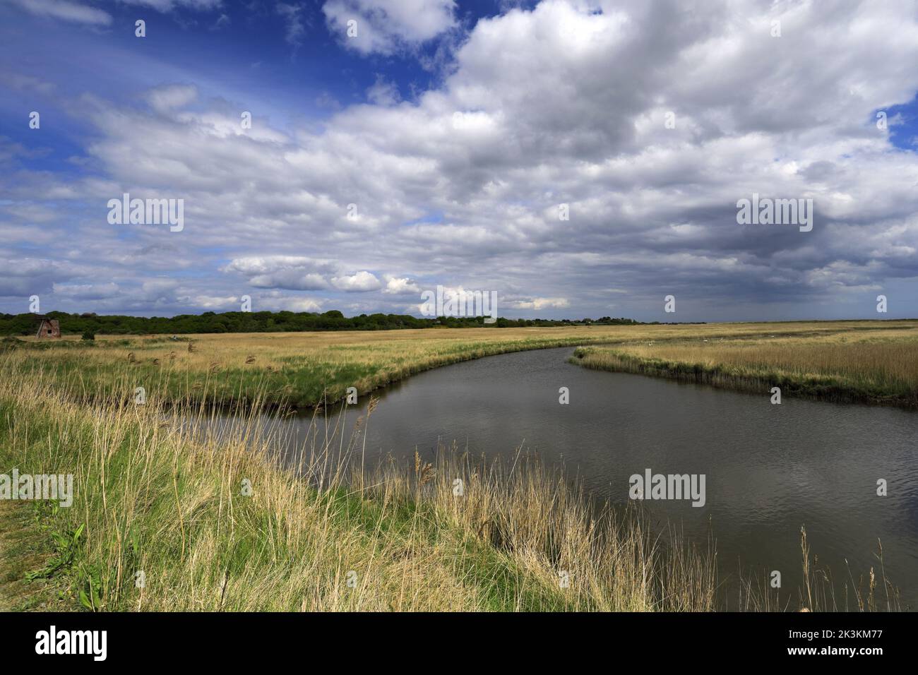 View over the Walberswick National Nature reserve, Walberswick village ...