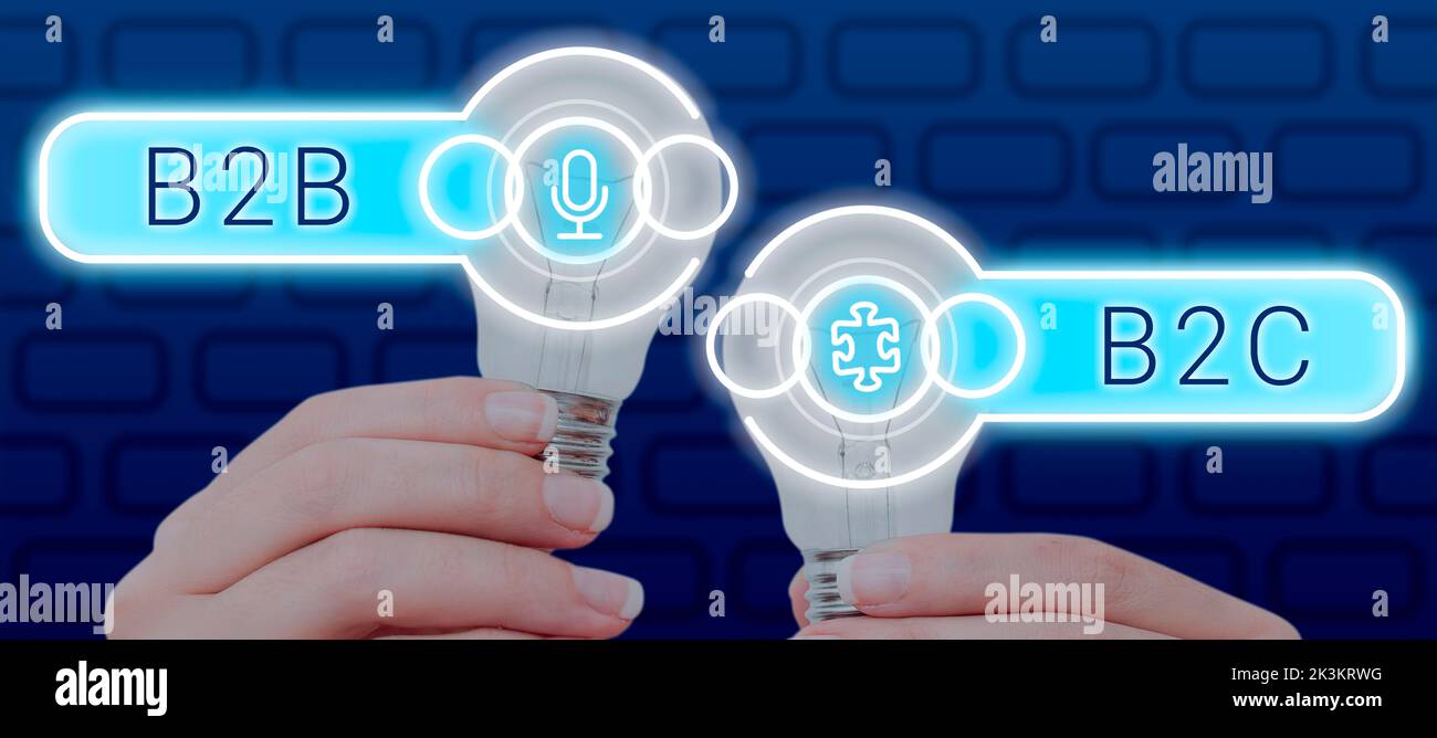 Sign displaying B2B B2C. Business overview two types for sending emails ...