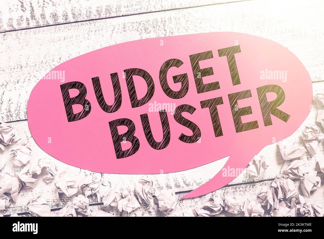 Inspiration showing sign Budget Buster. Business overview Carefree ...