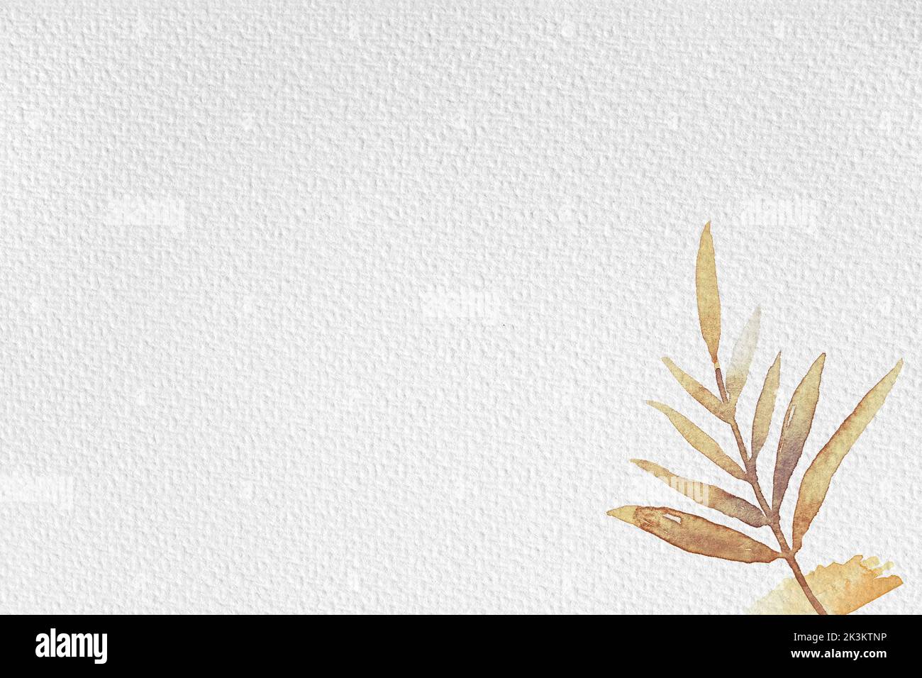 watercolor paper background texture. floral border background in green ...