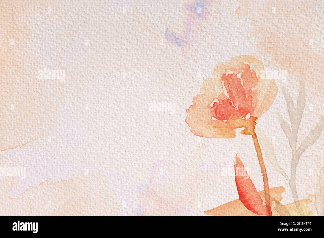 watercolor paper background texture. floral border background in green ...