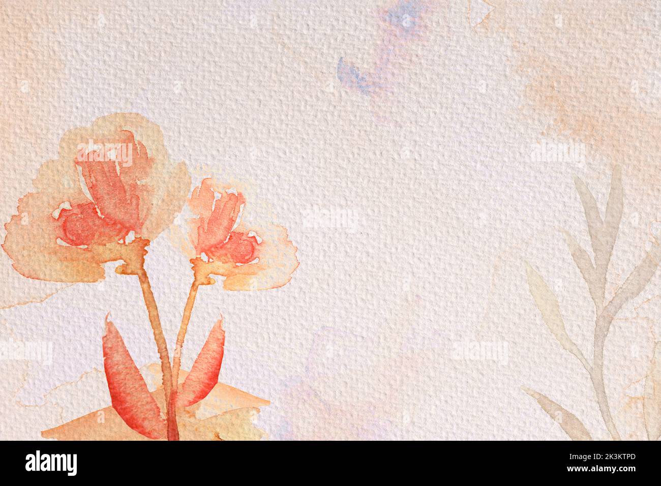 watercolor paper background texture. floral border background in green ...