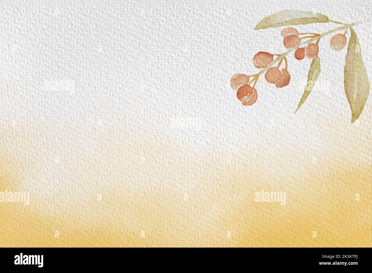 watercolor paper background texture. floral border background in green ...