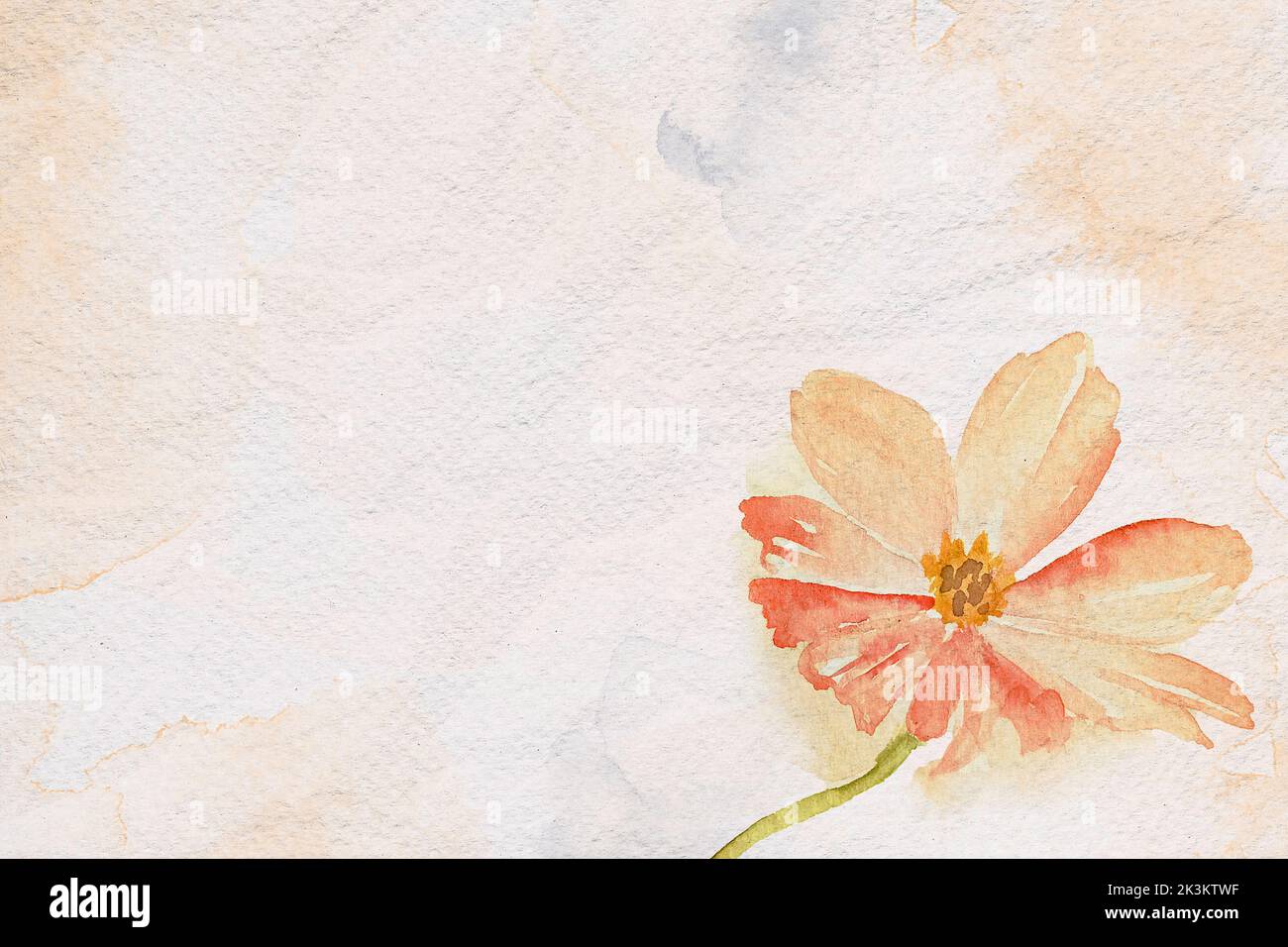watercolor paper background texture. floral border background in green ...