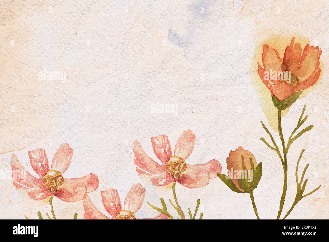 watercolor paper background texture. floral border background in green ...