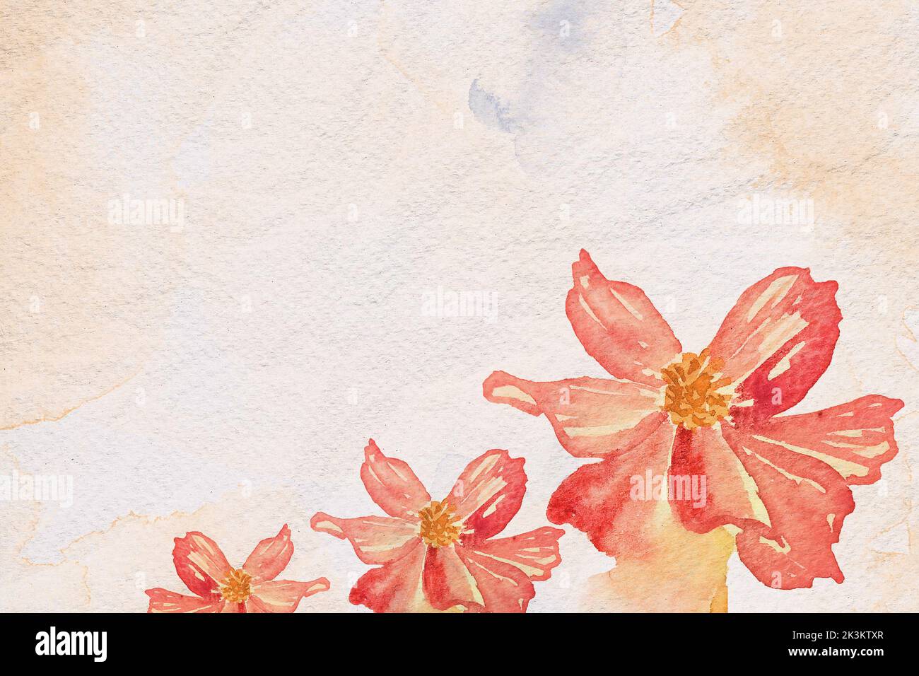 watercolor paper background texture. floral border background in green ...