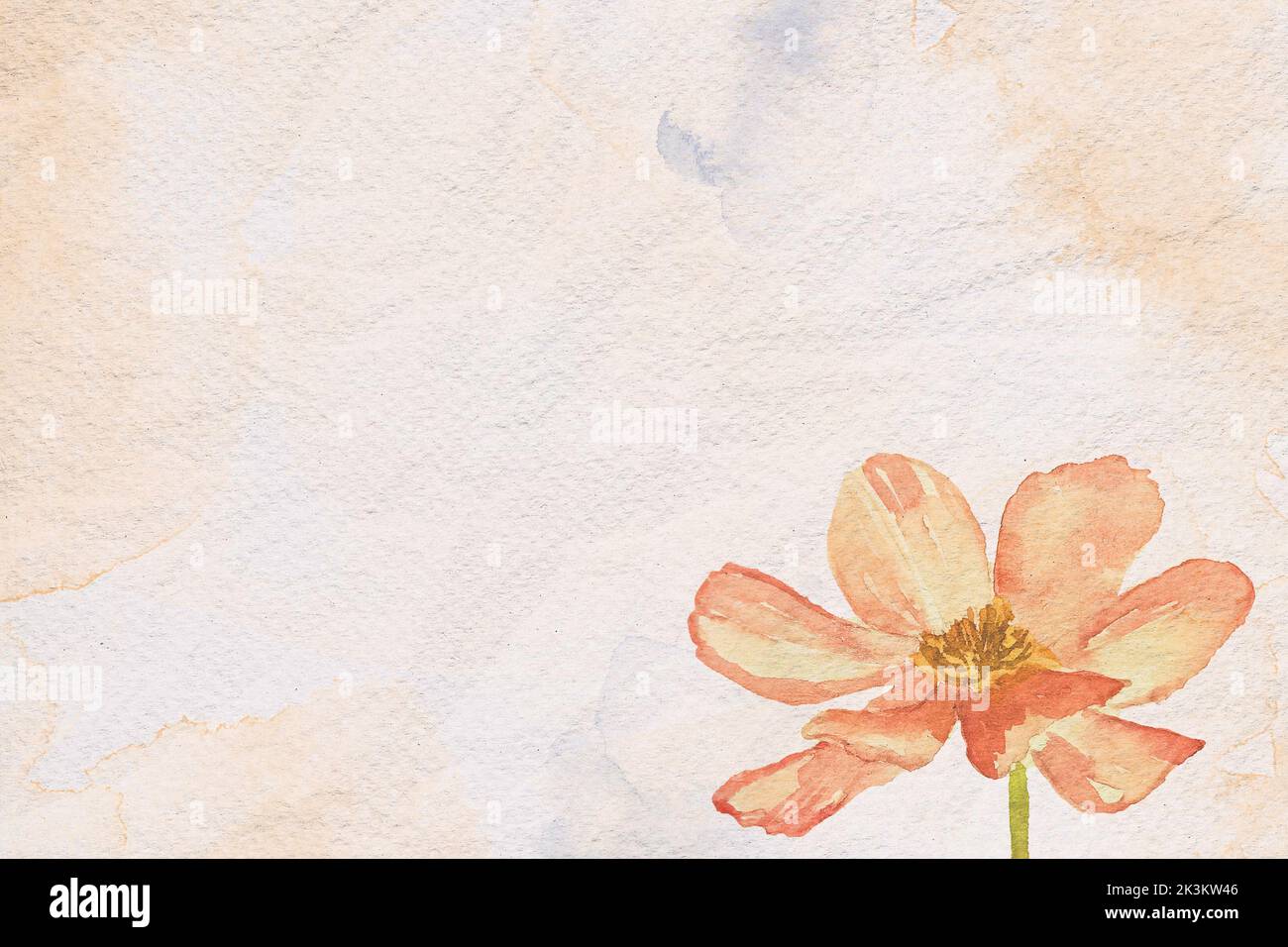 watercolor paper background texture. floral border background in green ...