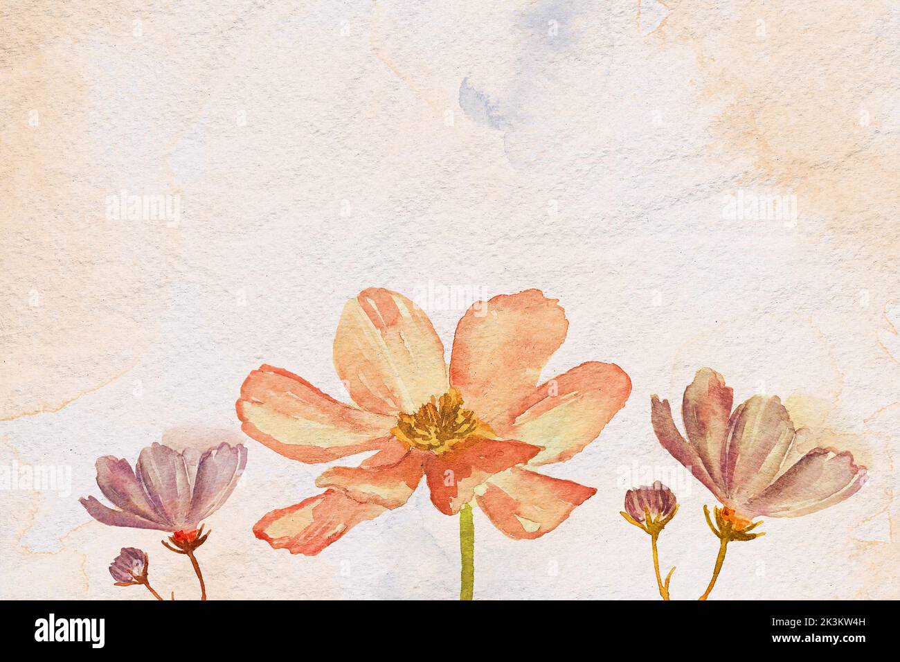 watercolor paper background texture. floral border background in green ...