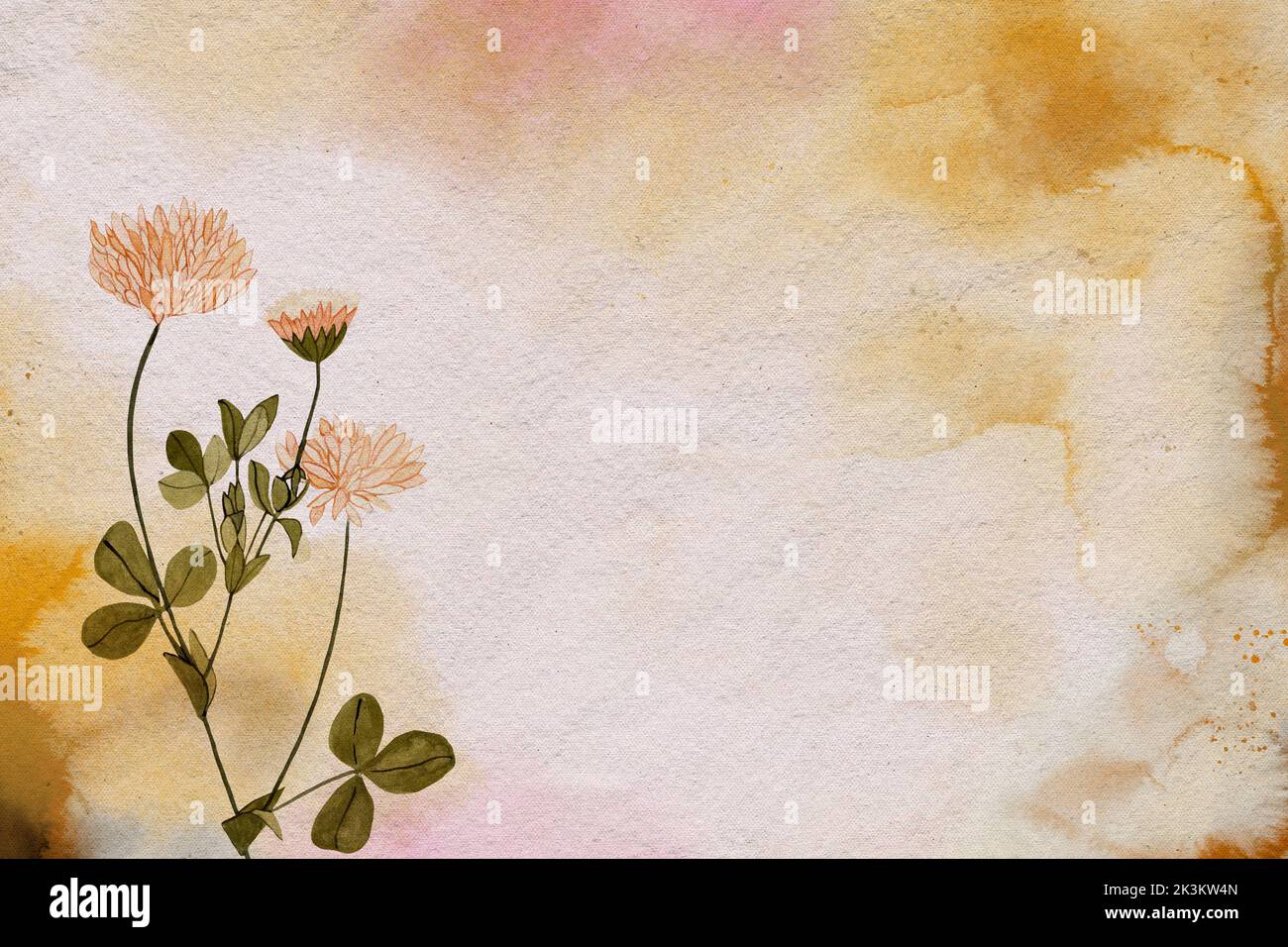watercolor paper background texture. floral border background in green ...