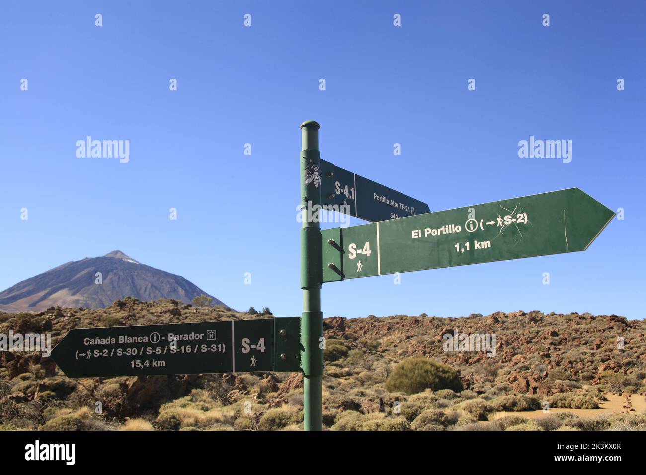 Tenerife, canary islands Spain Stock Photo - Alamy