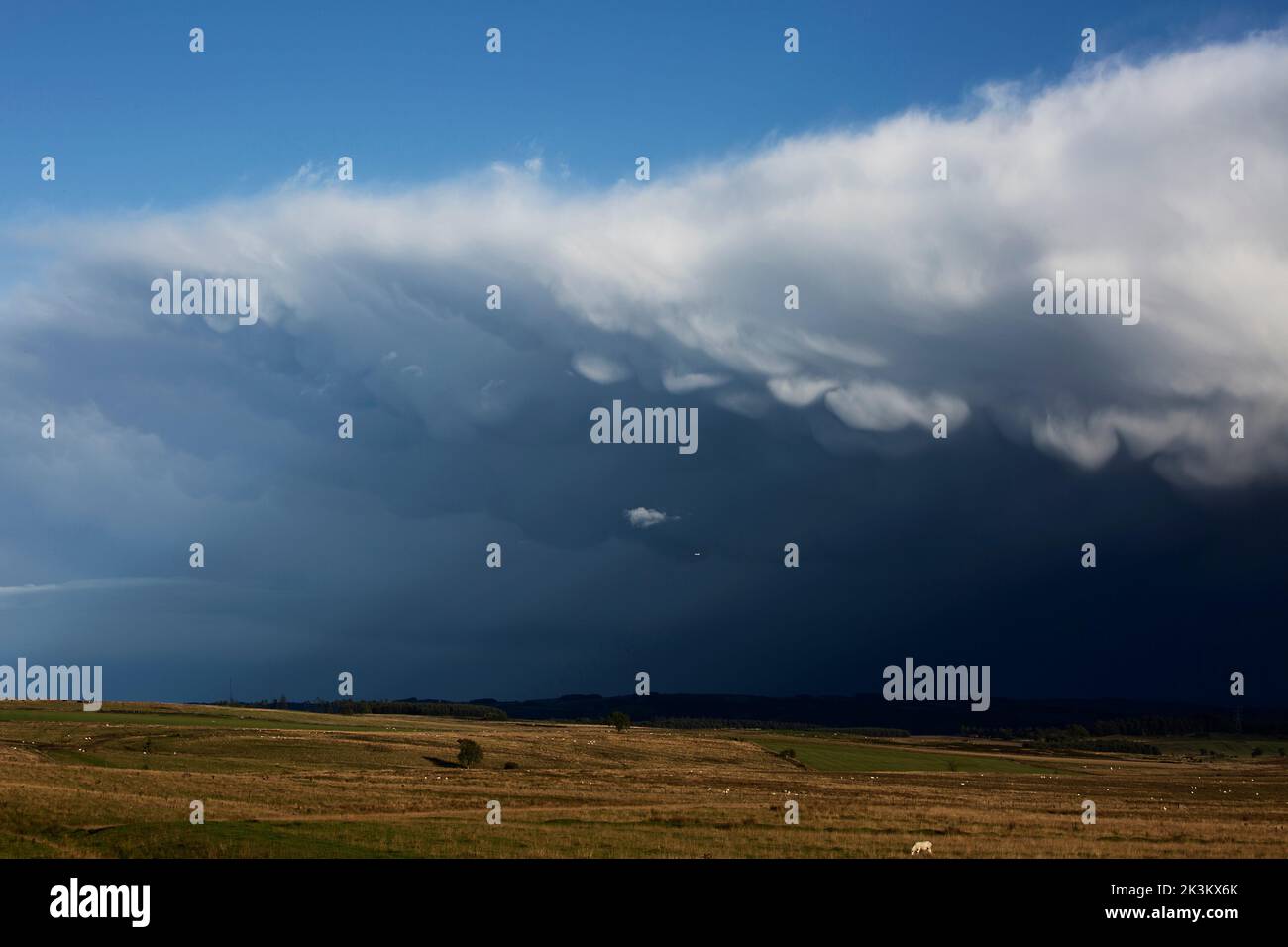 An airliner flying out of storm clouds s Stock Photo - Alamy