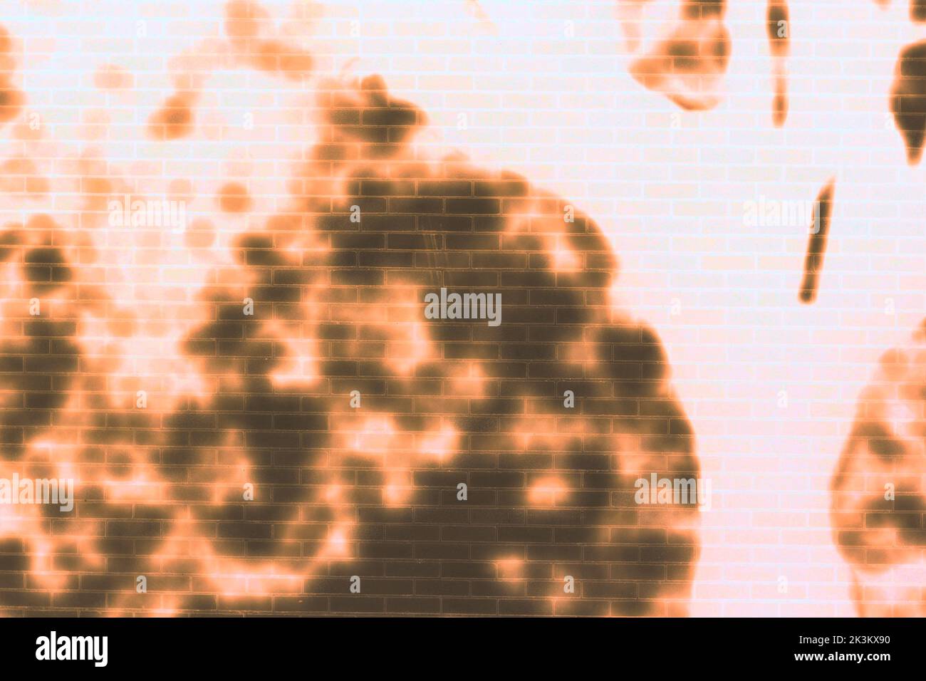 The shadows of a tree falling on a common brick wall in a bright color ...