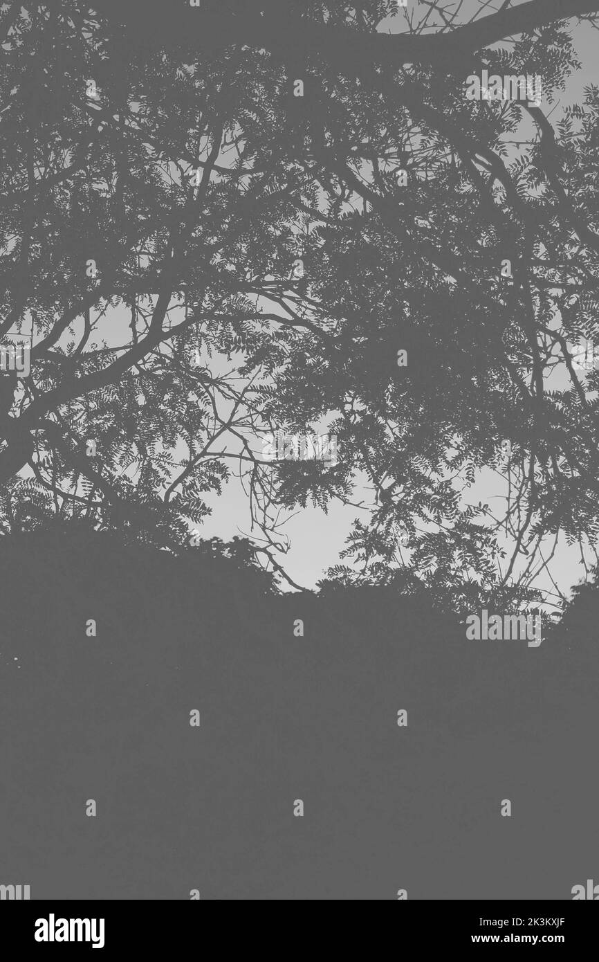 Faint shadows Black and White Stock Photos & Images - Alamy